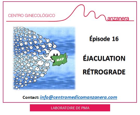 ÉPISODE 16. EJACULATION RÉTROGRADE EN PMA (FIV) | Centro Médico Manzanera